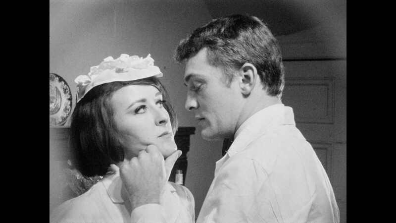 Seeds (1968) starring Maggie Rogers on DVD - DVD Lady - Classics on DVD